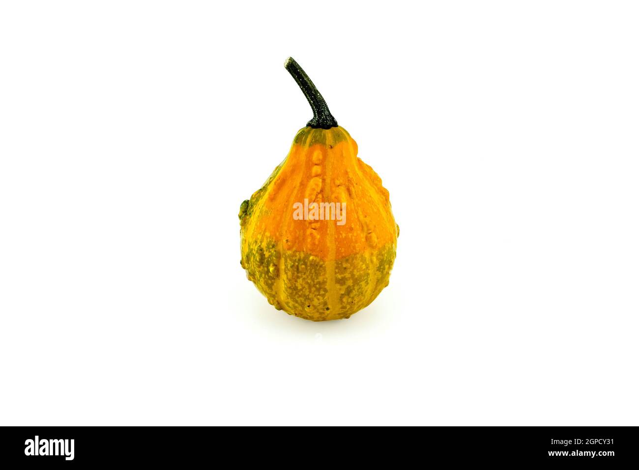 One whole yellow decorative gourd isolated on white background Stock ...