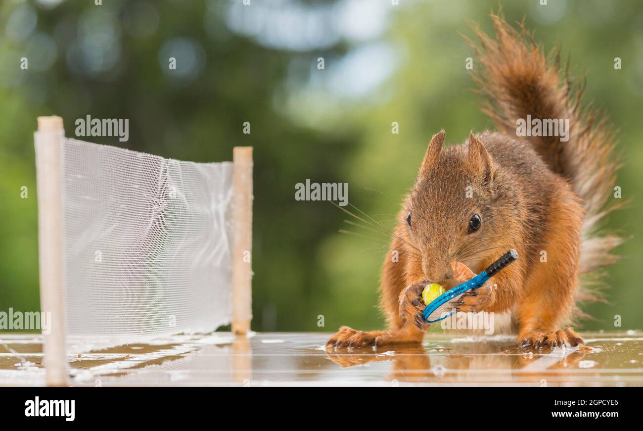Wet tennis court hi-res stock photography and images - Alamy