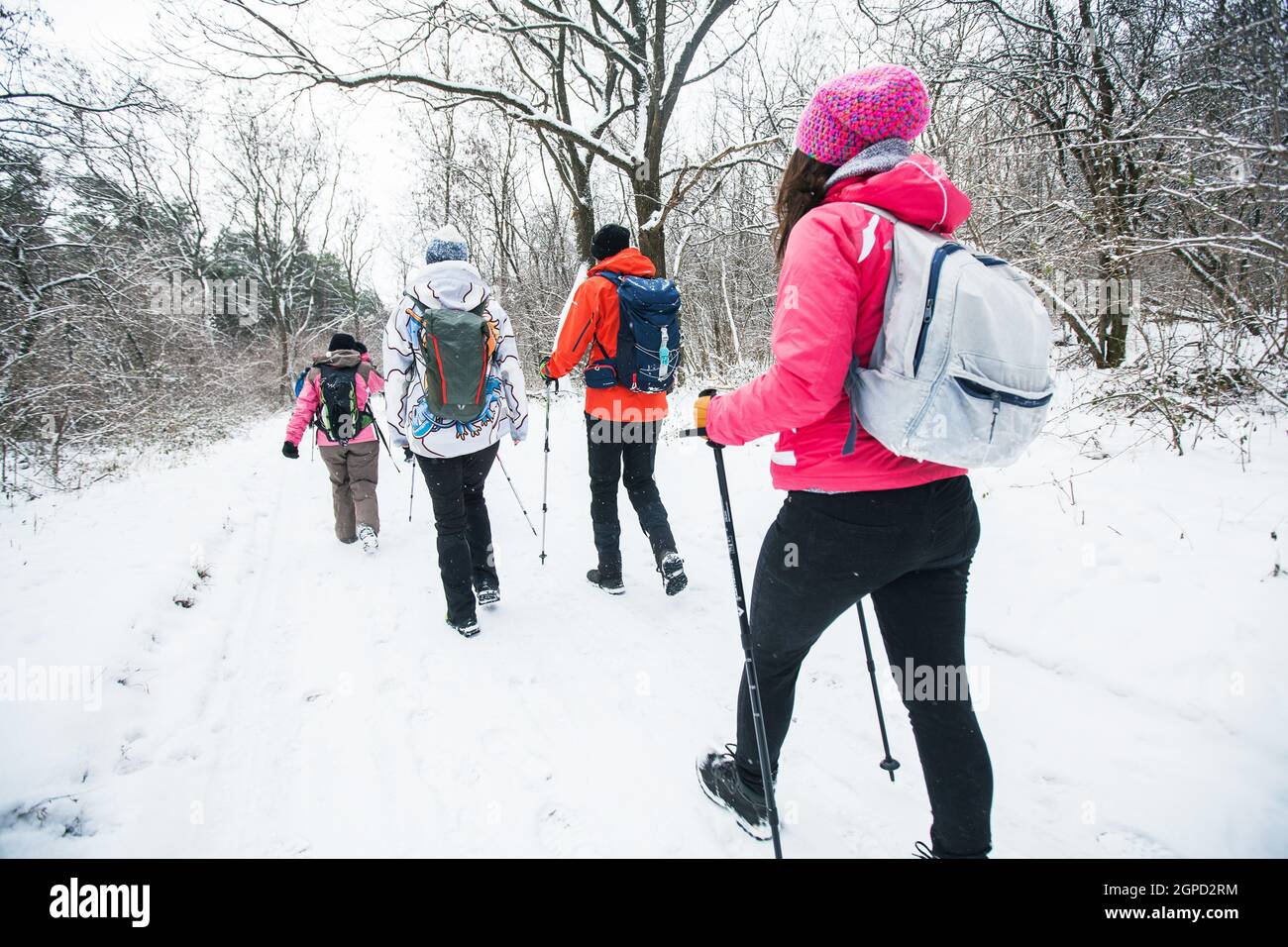 Group of hikers walking on the hike trail on snow winter day Stock ...