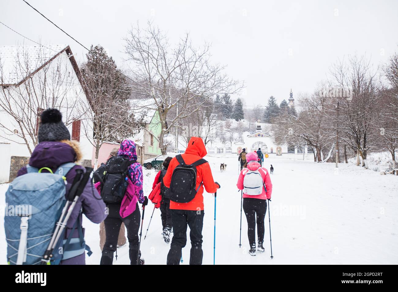 Hikers with backpack hiking on snowy trail. Group of people walking ...