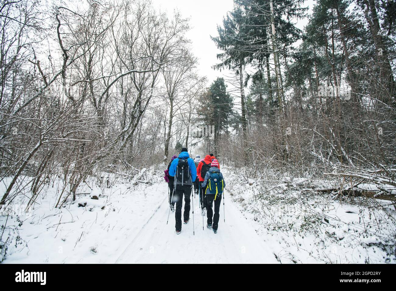 Group of hikers walking on the hike trail on snow winter day Stock ...