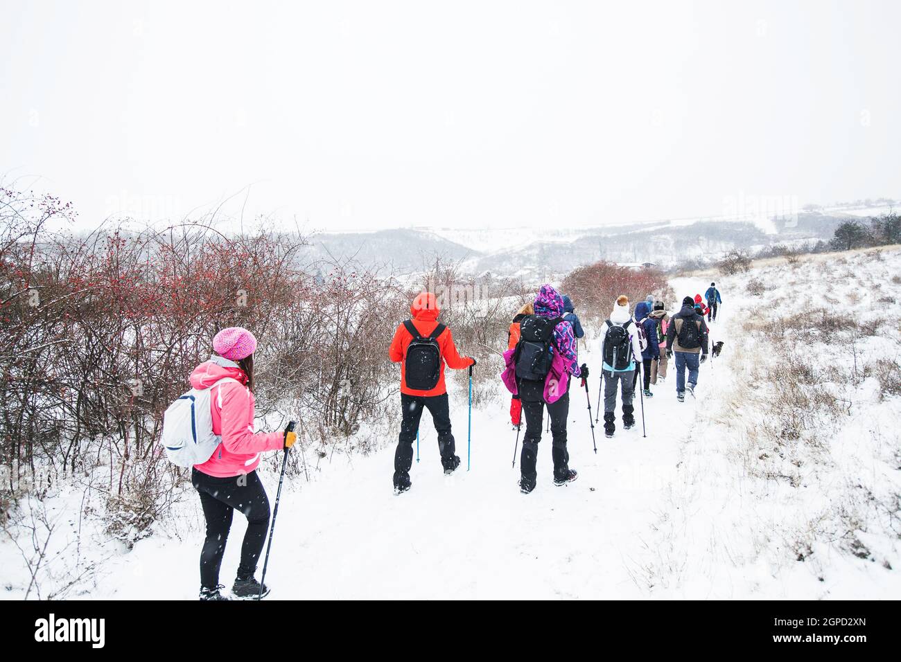 Group of hikers walking on the hike trail on snow winter day Stock ...