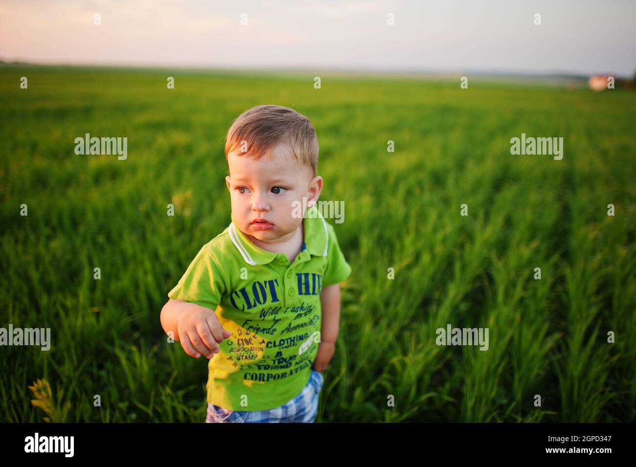 Cute boy in green grass field at evening Stock Photo - Alamy