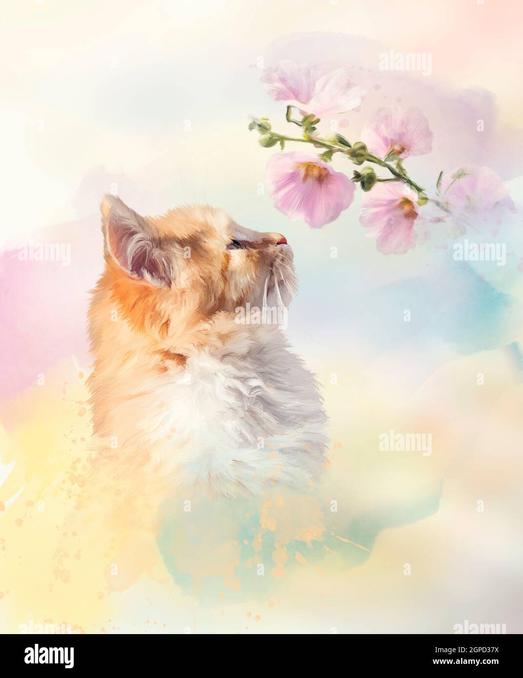 Fluffy red cat and pink flowers. Side view.Digital illustration Stock ...