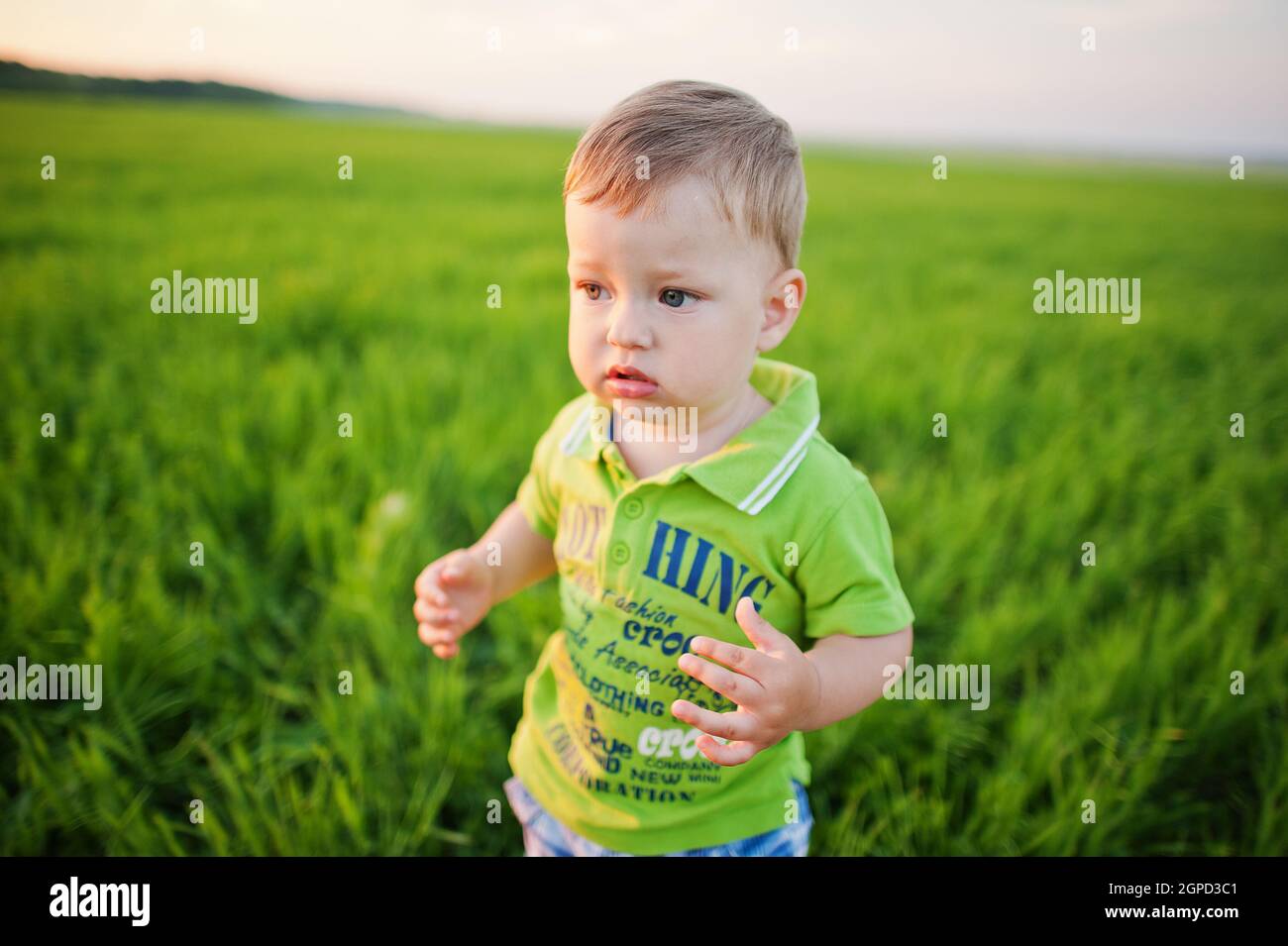 Cute boy in green grass field at evening Stock Photo - Alamy