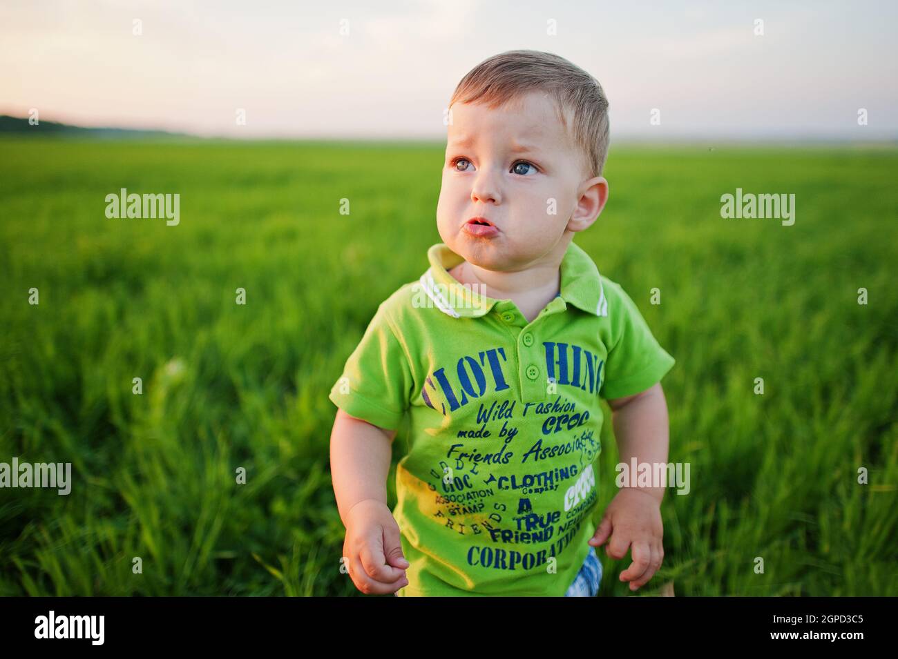 Cute boy in green grass field at evening Stock Photo - Alamy