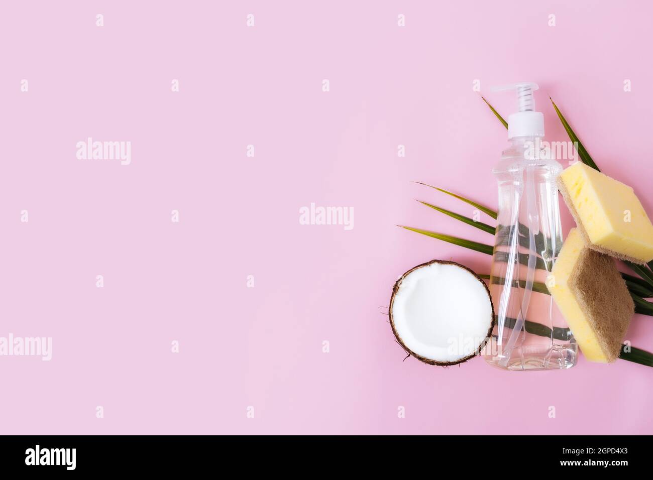 Flat lay with green palm leaf, coconut half, soap dropper, dishwashing ...