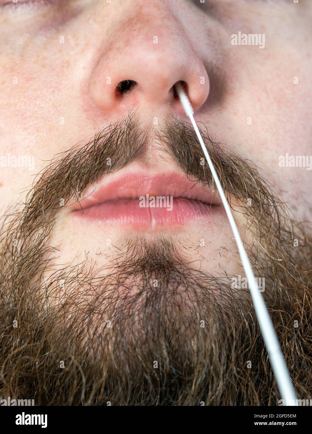 Covid-19 nasal swab test, taking nasal mucus test sample, Cotton swab ...