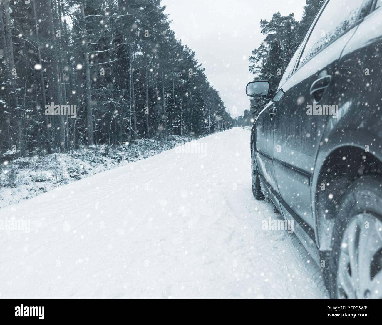 Driving car through forest hi-res stock photography and images - Alamy