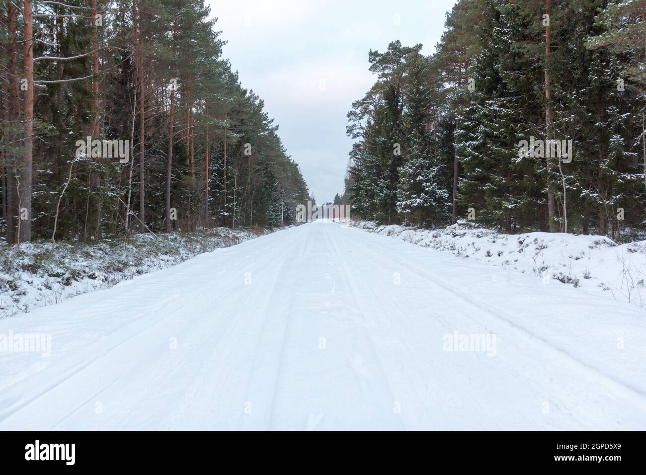 Empty snow covered road in winter landscape Stock Photo - Alamy