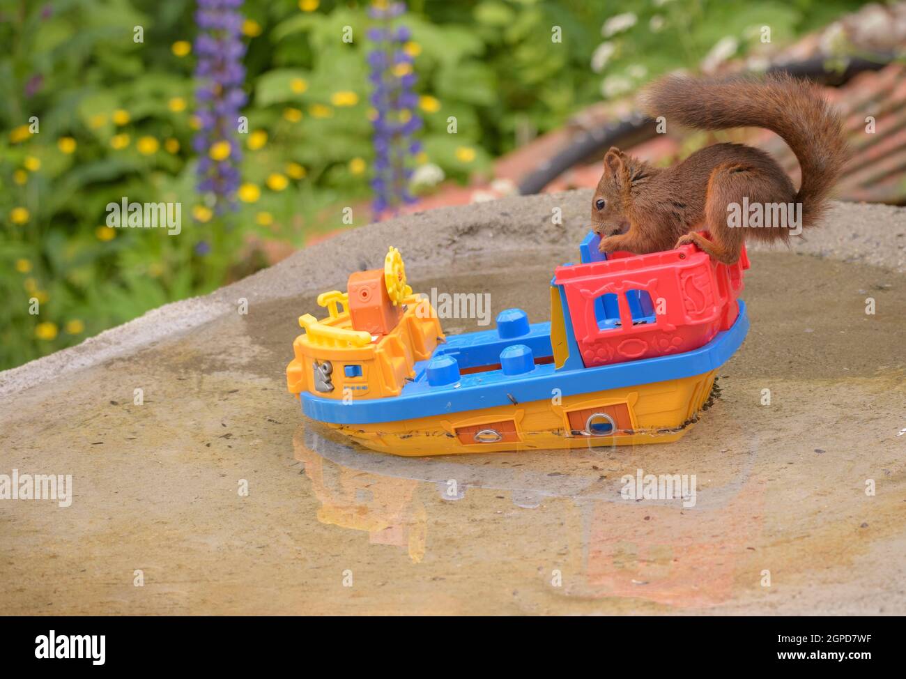 Boat sinking swim hi-res stock photography and images - Alamy