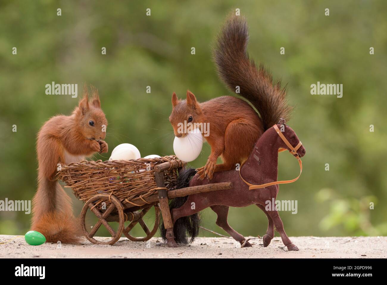 red squirrels standing with a horse with Chariot and eggs Stock Photo ...