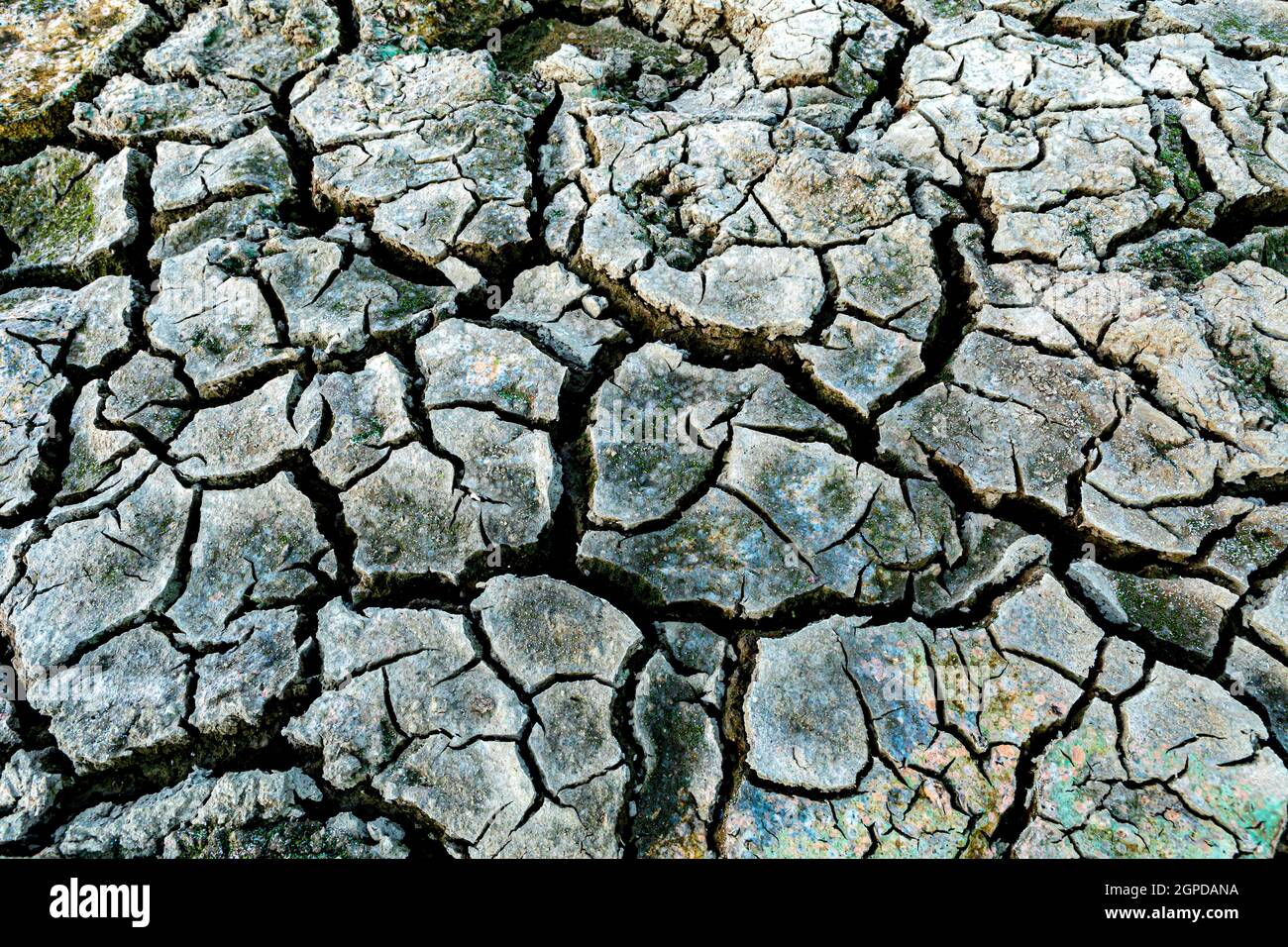 Brown dry soil or cracked ground texture background Stock Photo - Alamy