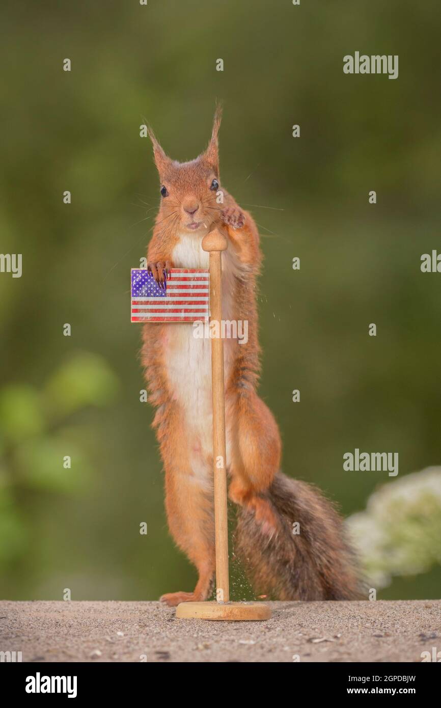 American dinner flag hi-res stock photography and images - Alamy