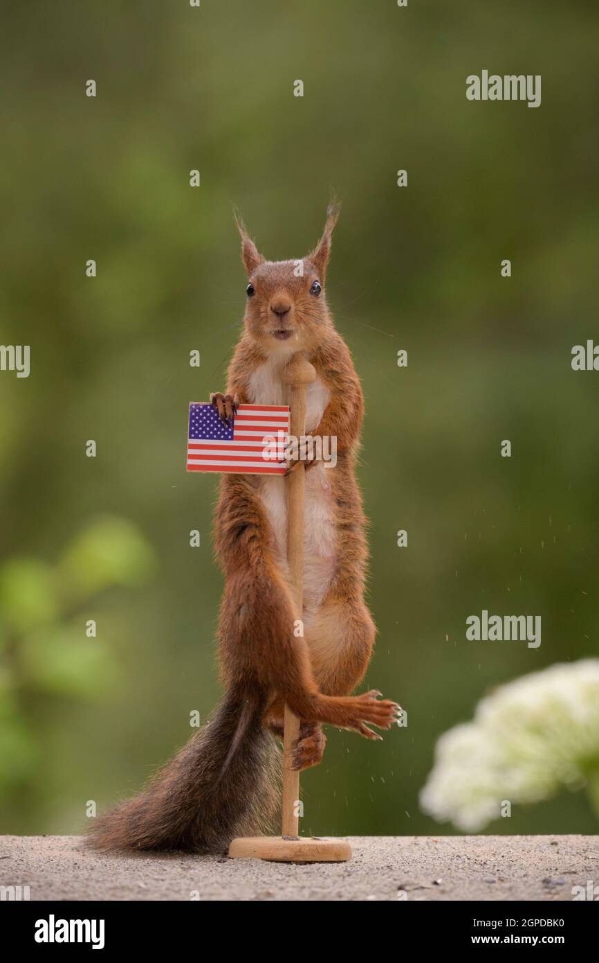 Swedish female flag hi-res stock photography and images - Alamy