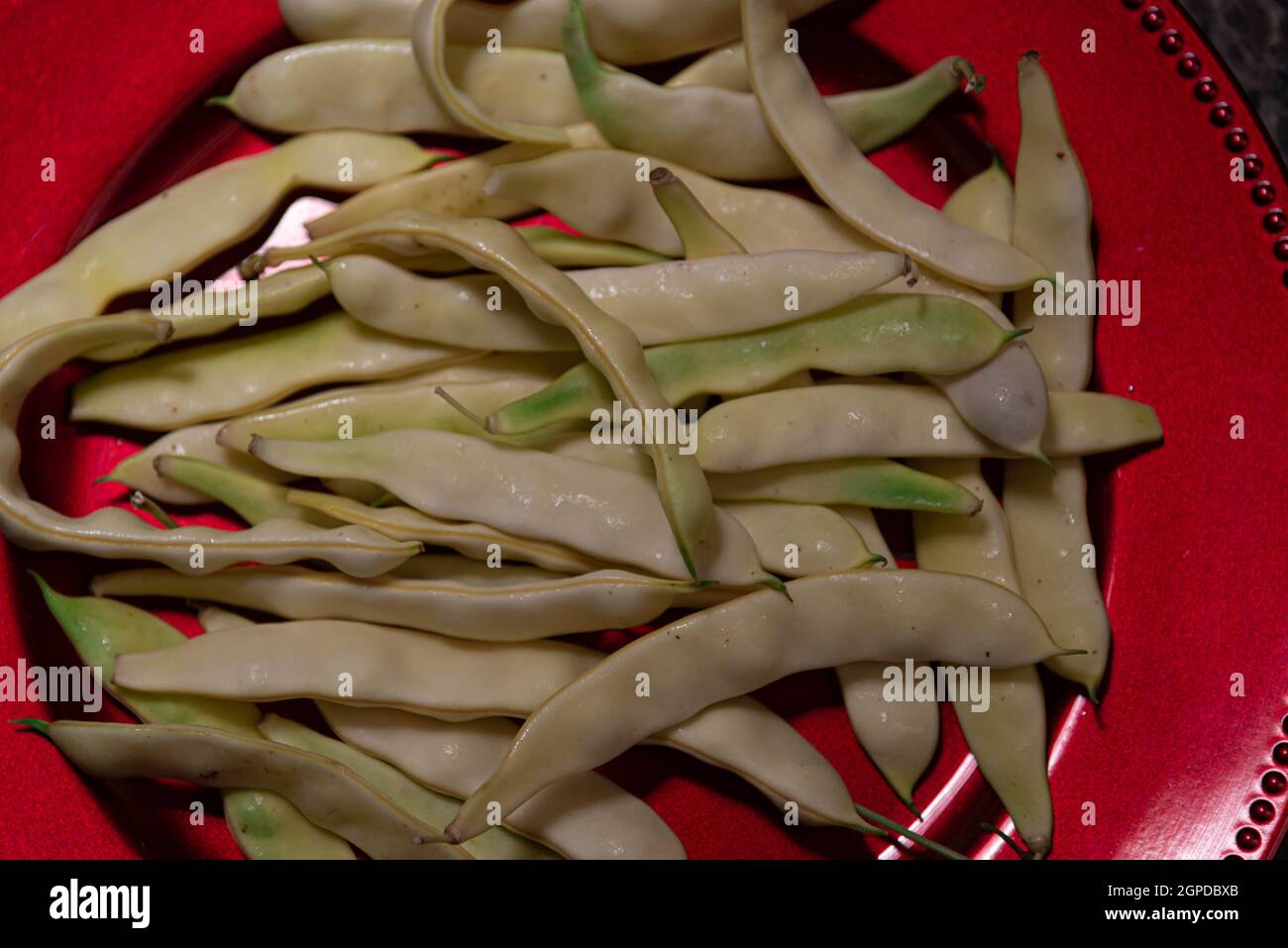 Pod bean vegetable salad. Pods of Phaseolus vulgaris L.. Fresh food ...