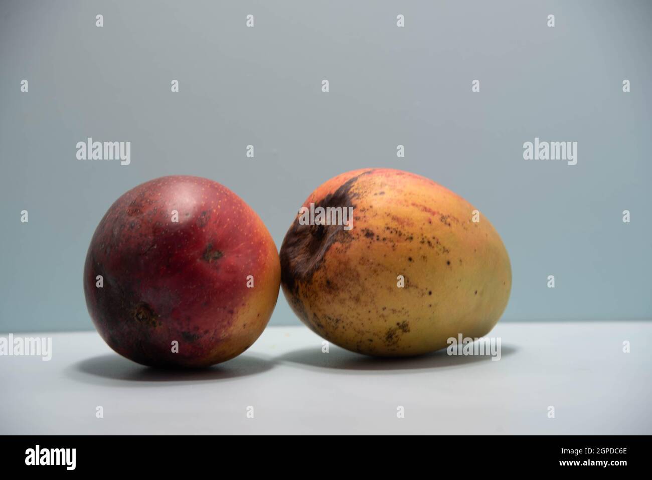 Fresh pink mango fruit on blue background. Fruit rich in fiber and ...