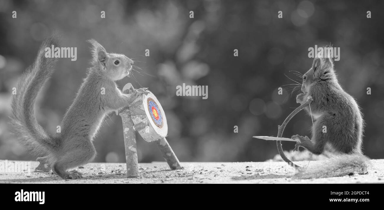 Arrow shot into tree hi-res stock photography and images - Alamy