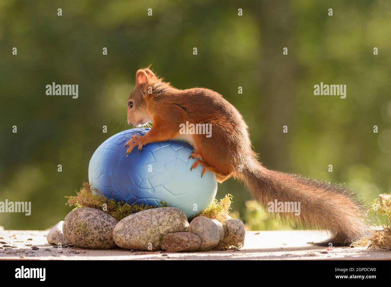 Eragon Dragon Egg Replica