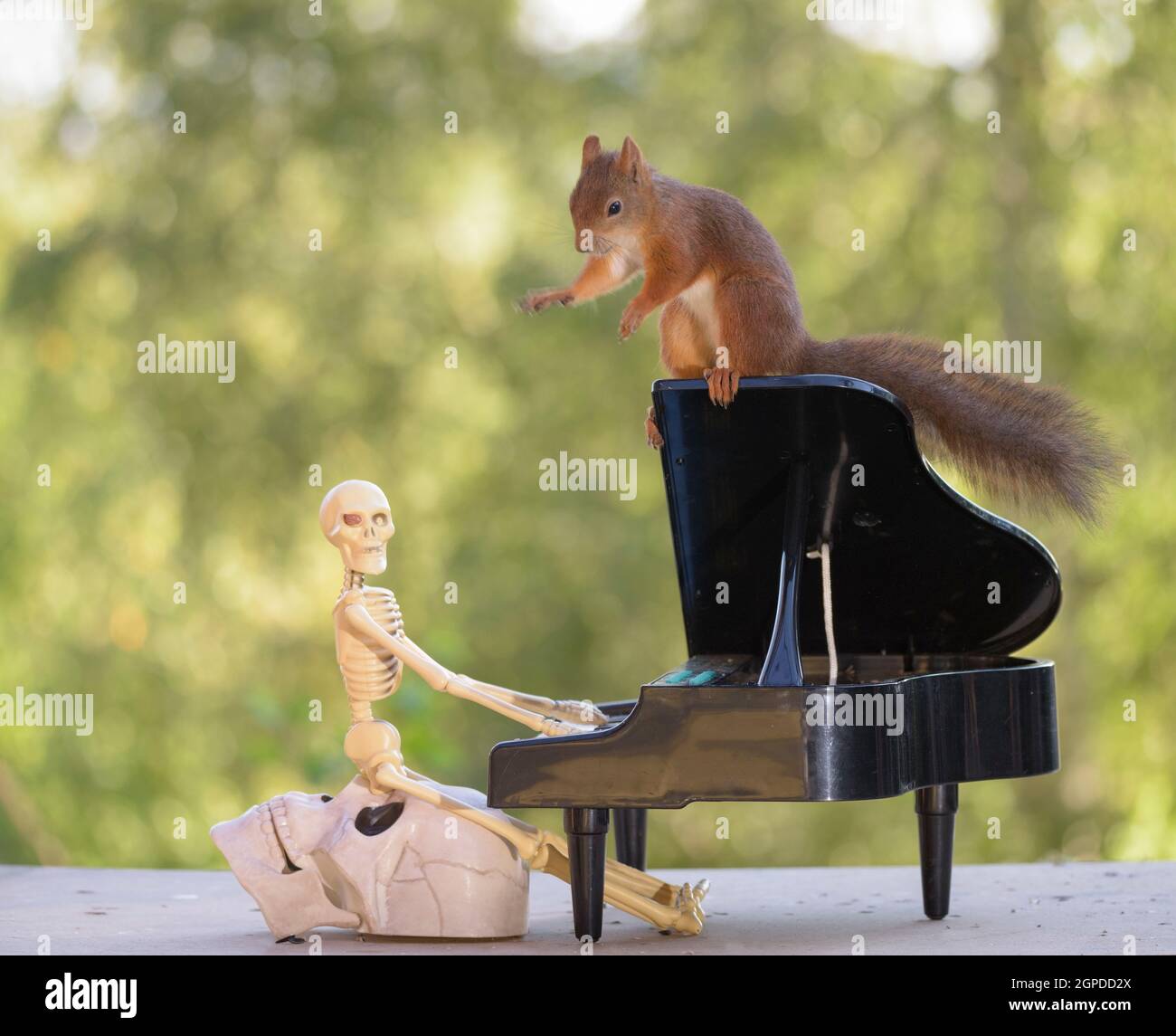 Skeleton piano hi-res stock photography and images - Alamy