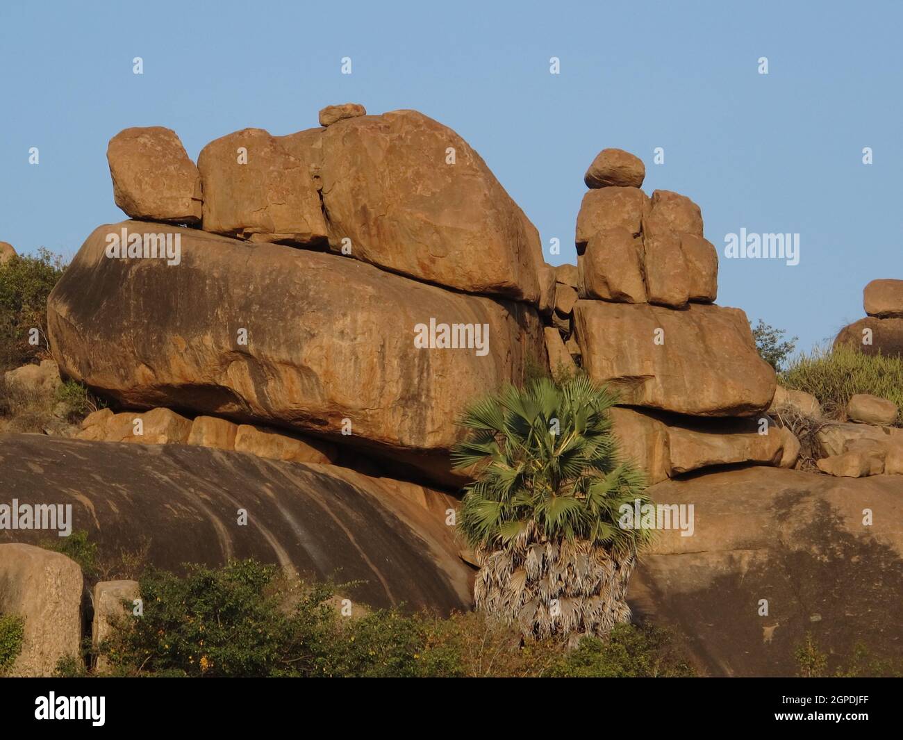 Big granite rocks palm hi-res stock photography and images - Alamy