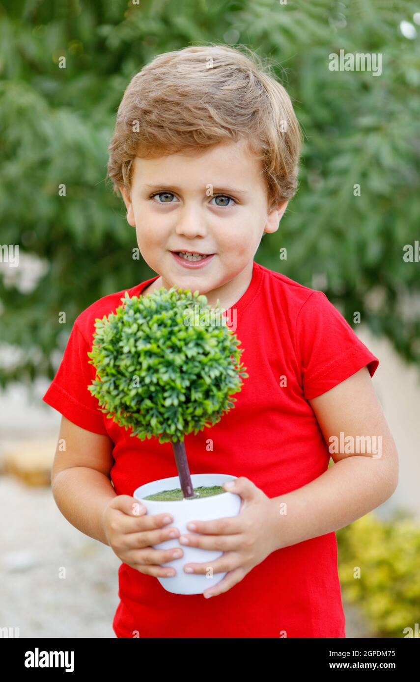 Small tree for the garden hi-res stock photography and images - Alamy