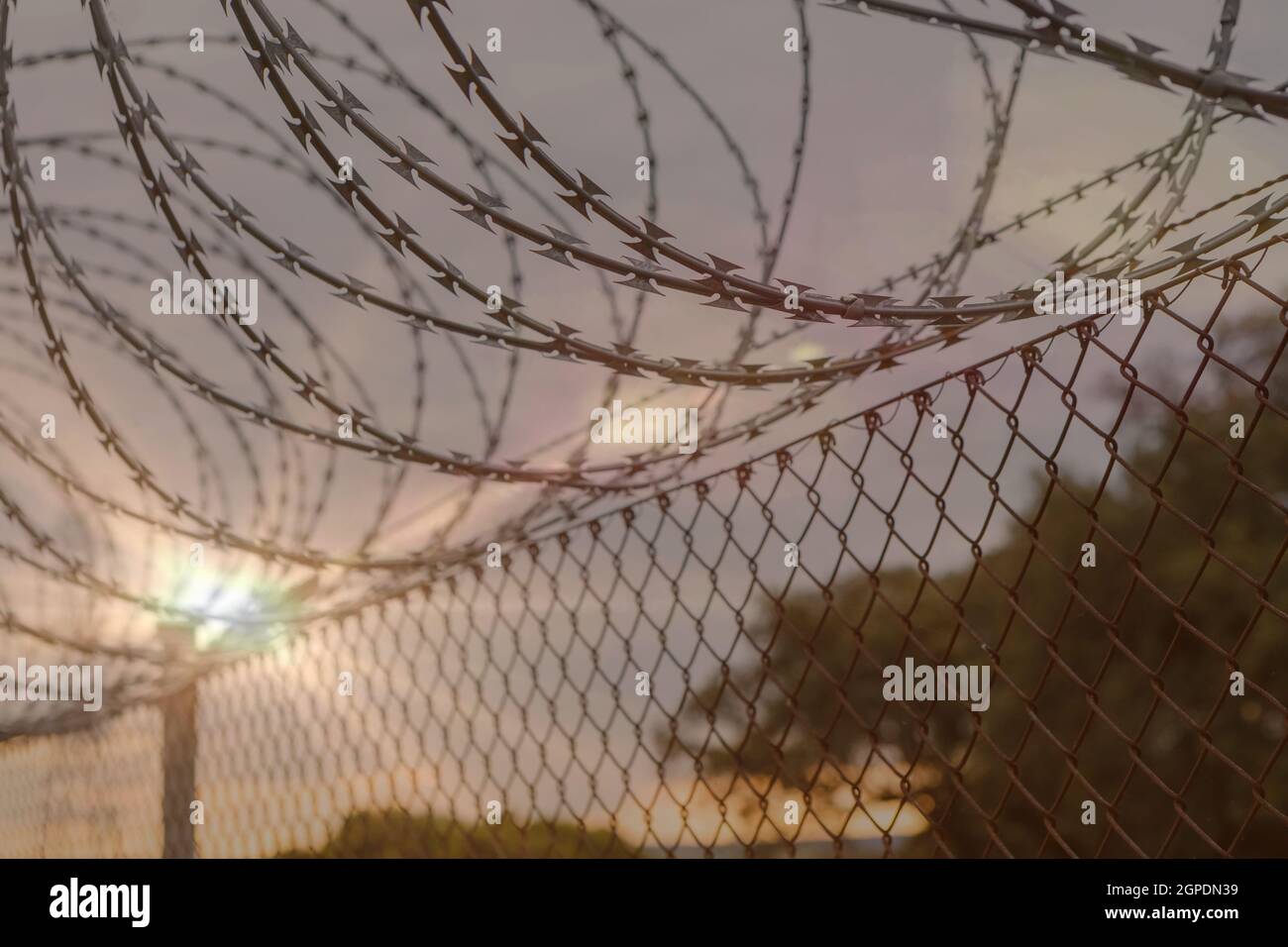 Fence with a barbed wire under a blue sky Stock Photo - Alamy