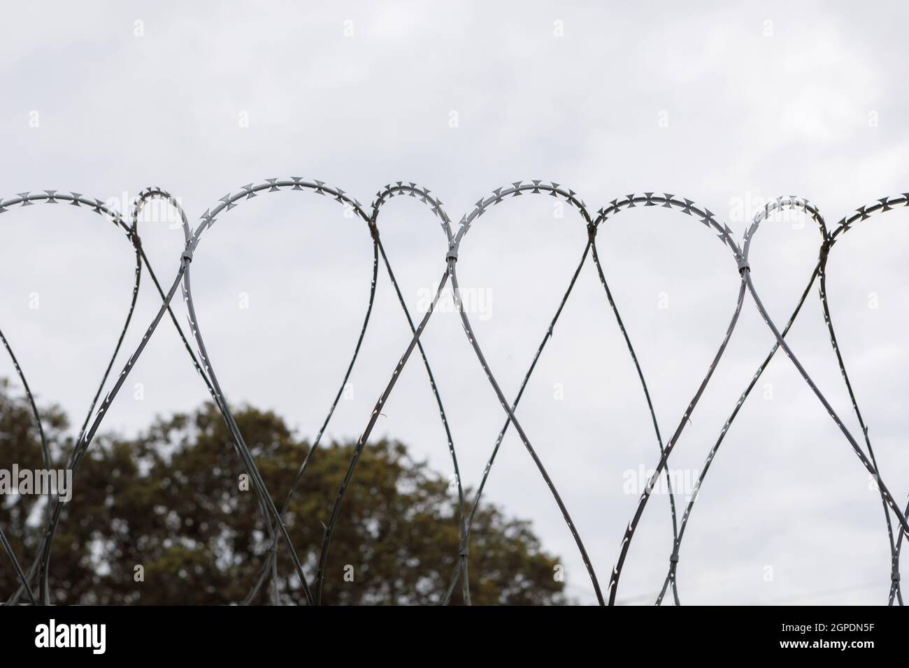 Fence with a barbed wire under a blue sky Stock Photo - Alamy