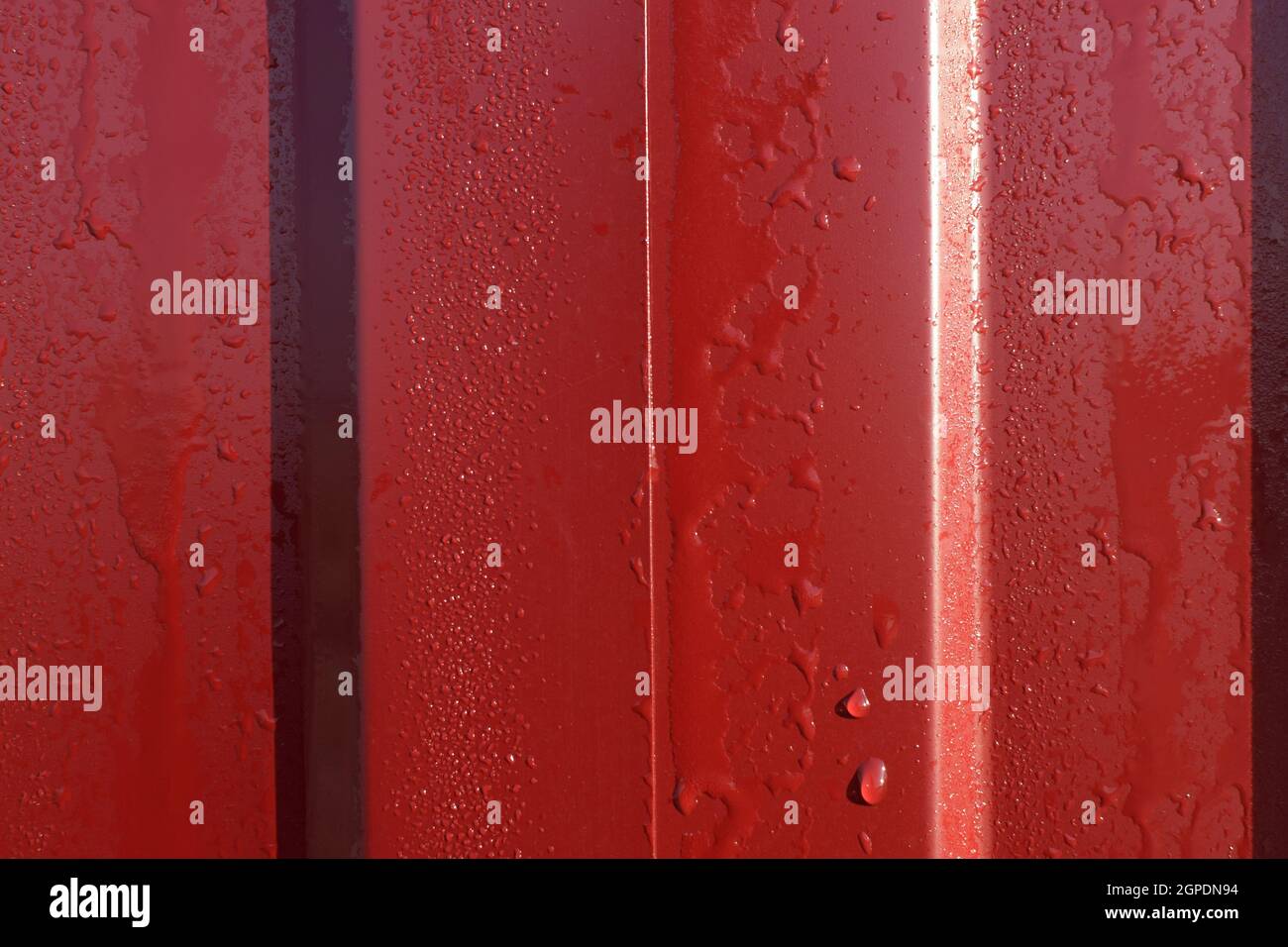 Diagonal pattern of metal profile. Fences from the galvanized iron ...