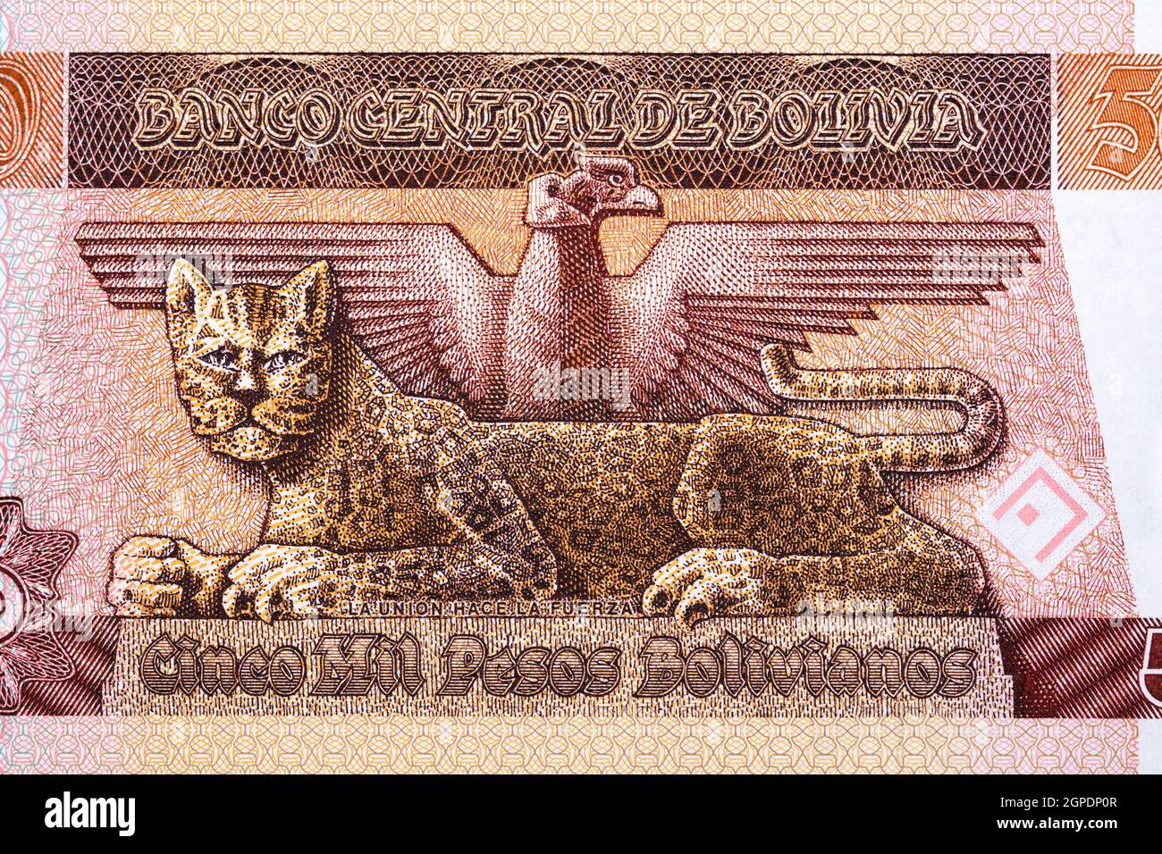 Stylized condor and leopard from old Bolivian money Stock Photo - Alamy
