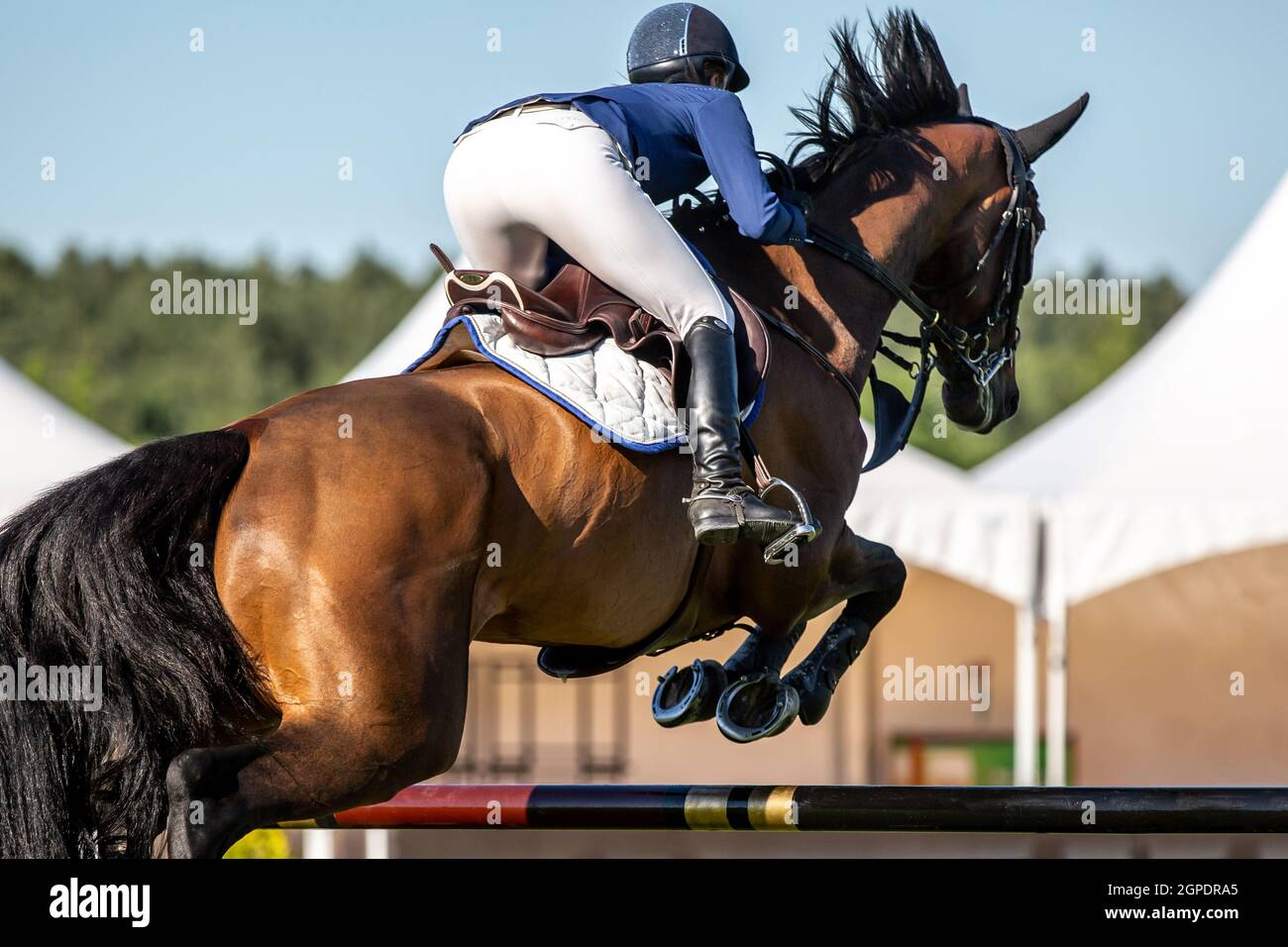 Horse Jumping, Equestrian Sports, Show Jumping event themed photograph ...