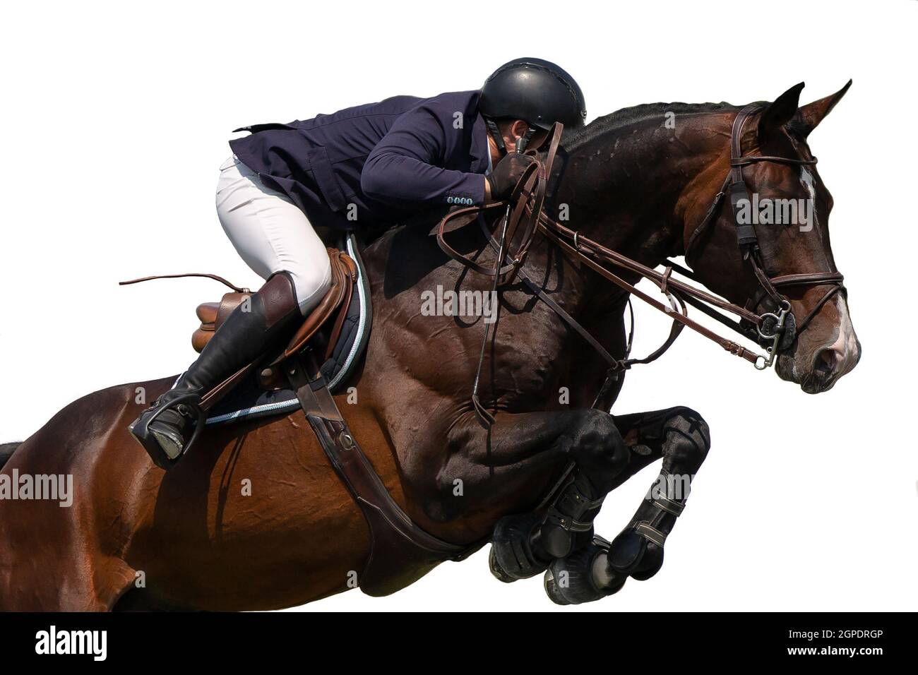 Horse Jumping, Equestrian Sports, Show Jumping event themed photograph ...