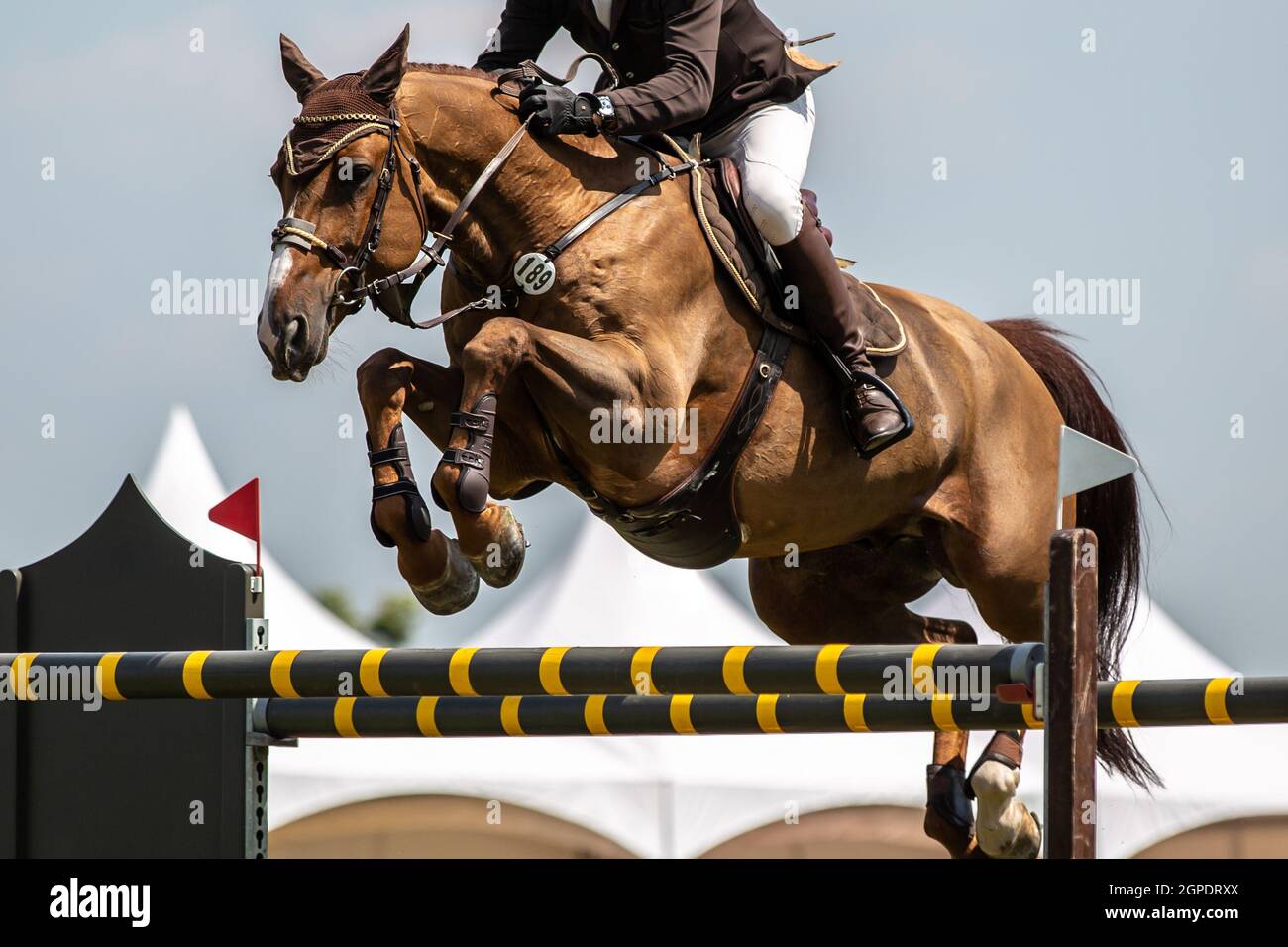 Horse Jumping, Equestrian Sports, Show Jumping event themed photograph ...