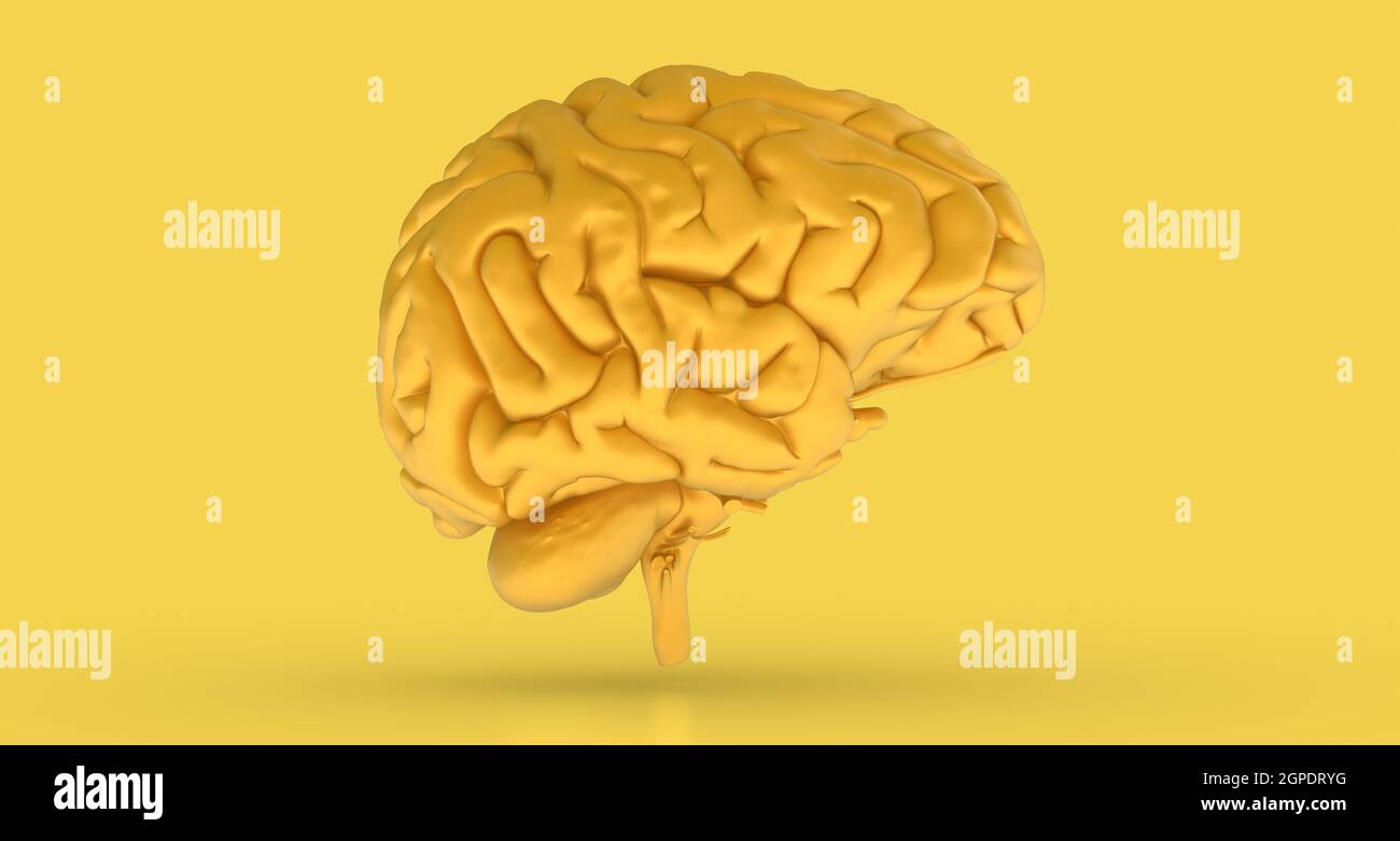 3d rendering of a yellow human brain concept on a yellow background ...