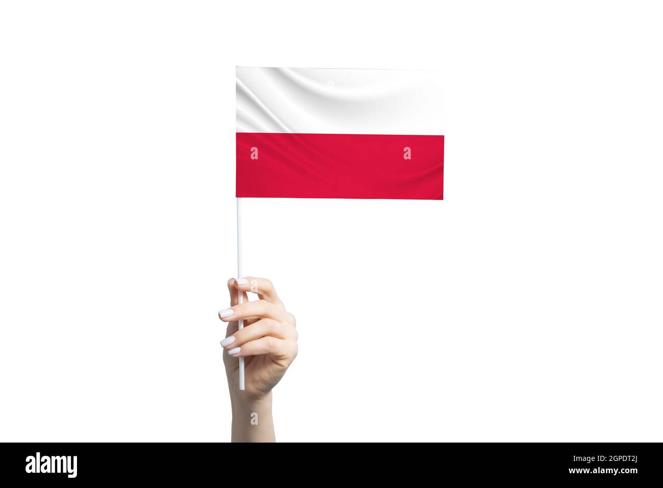Beautiful female hand holding Poland flag, isolated on white background ...