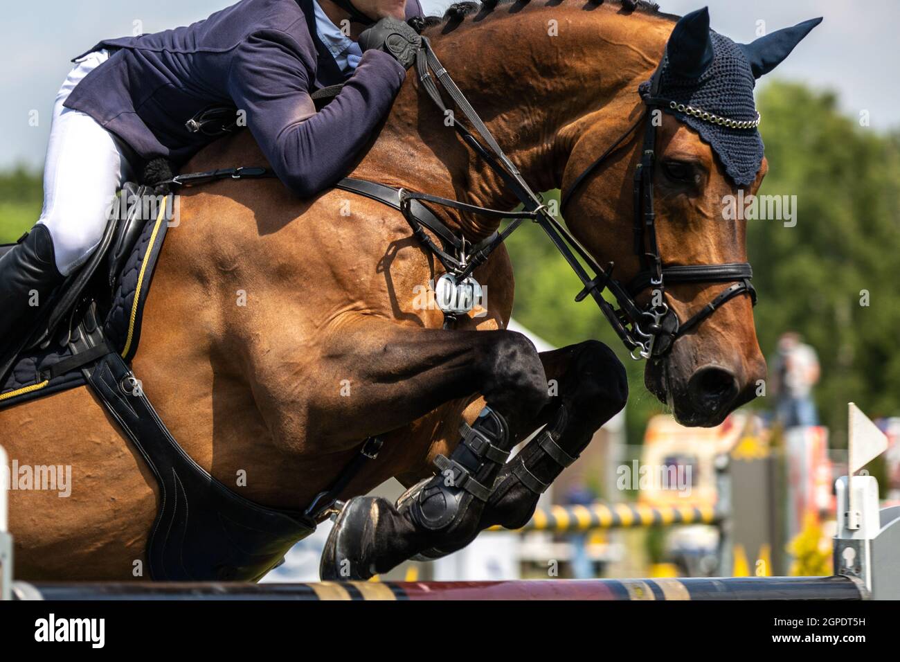 Horse Jumping, Equestrian Sports, Show Jumping event themed photograph ...