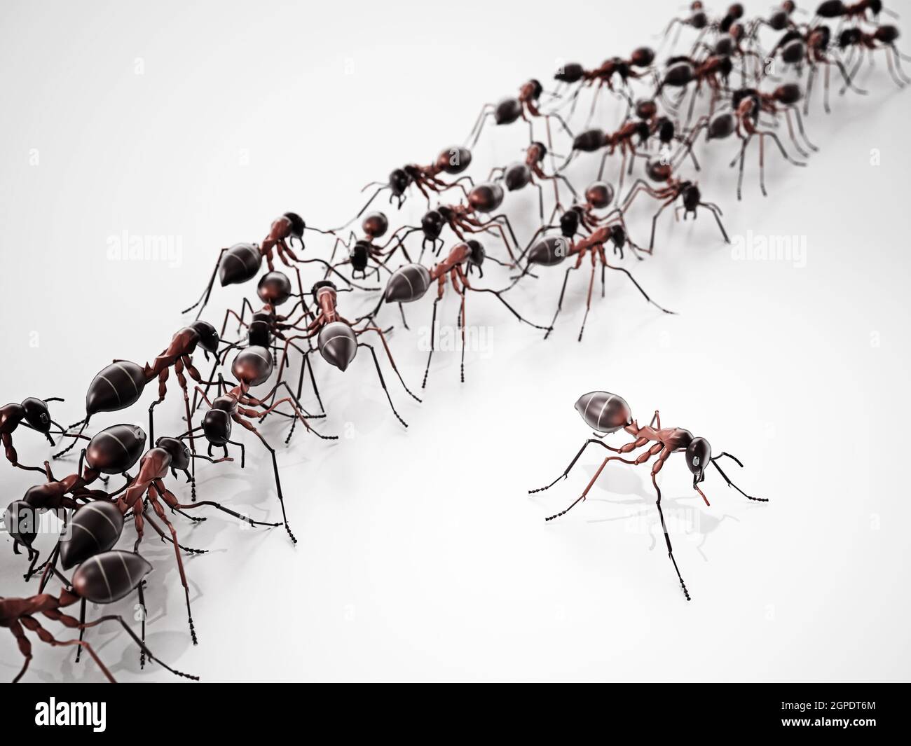 Stomping On Ants