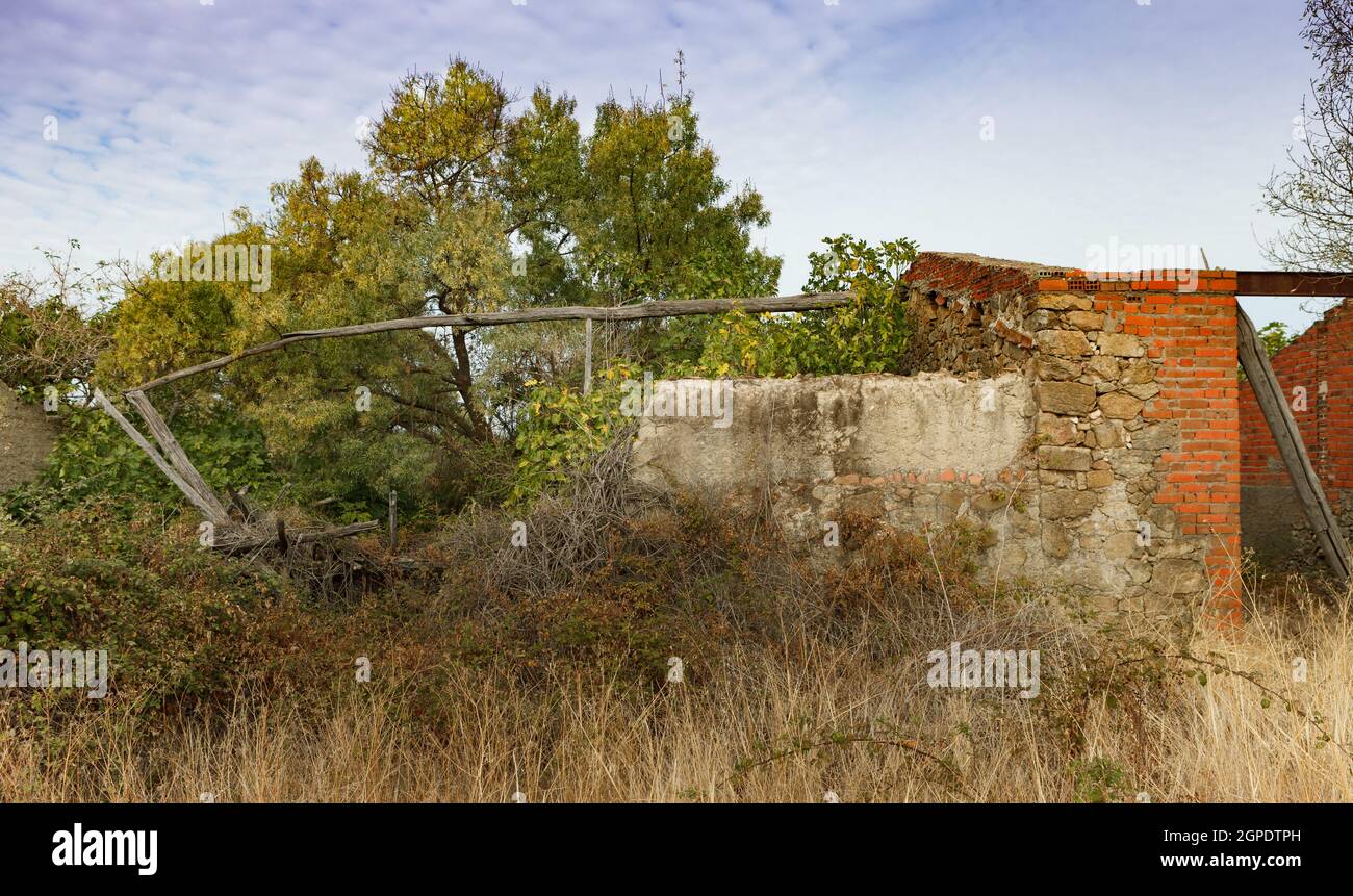 Destroyed house in the countryside and with wild vegetation Stock Photo ...
