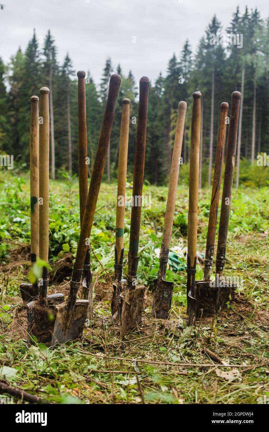 Work planting hi-res stock photography and images - Alamy