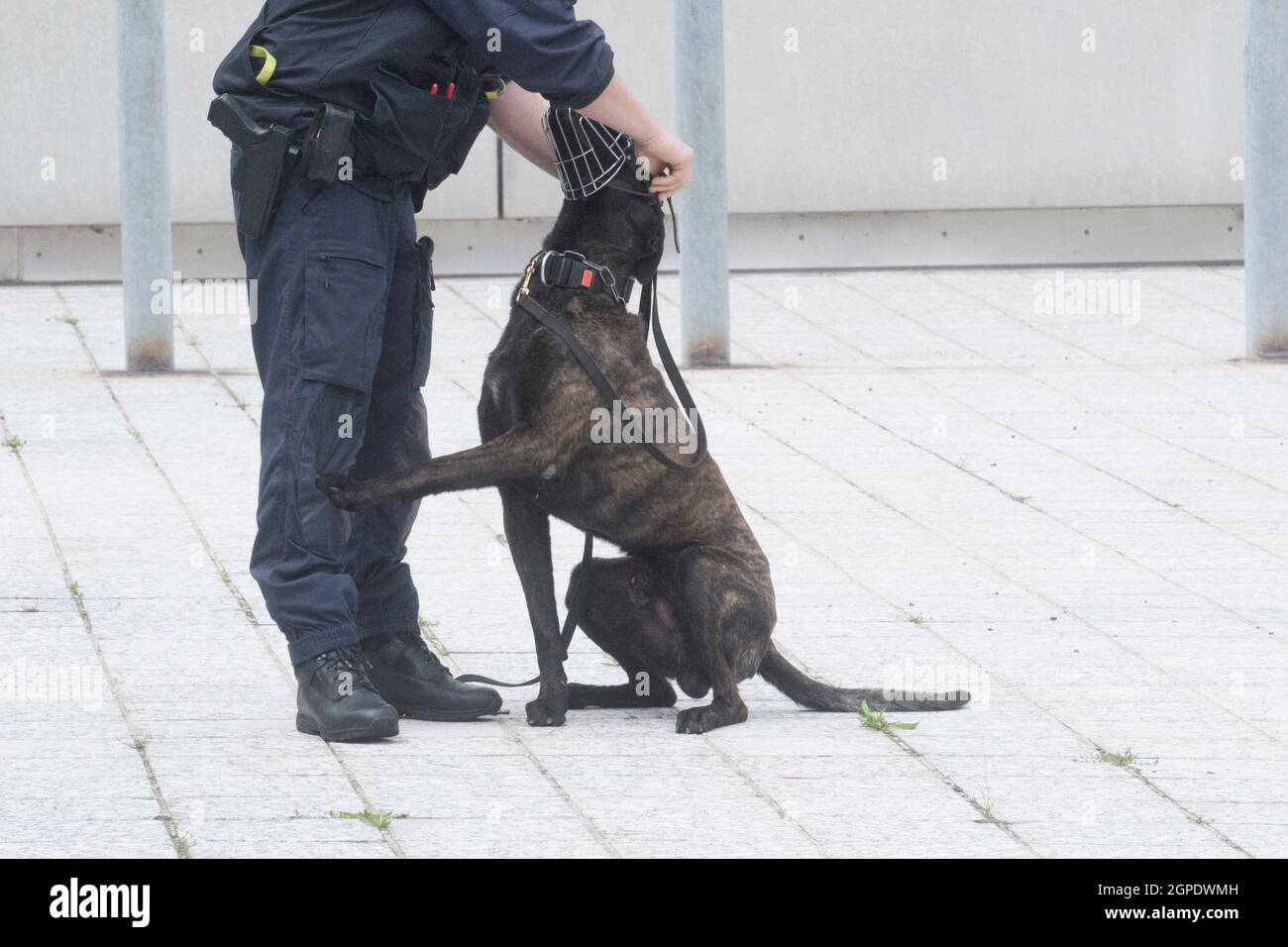 Assist and protect hi-res stock photography and images - Alamy