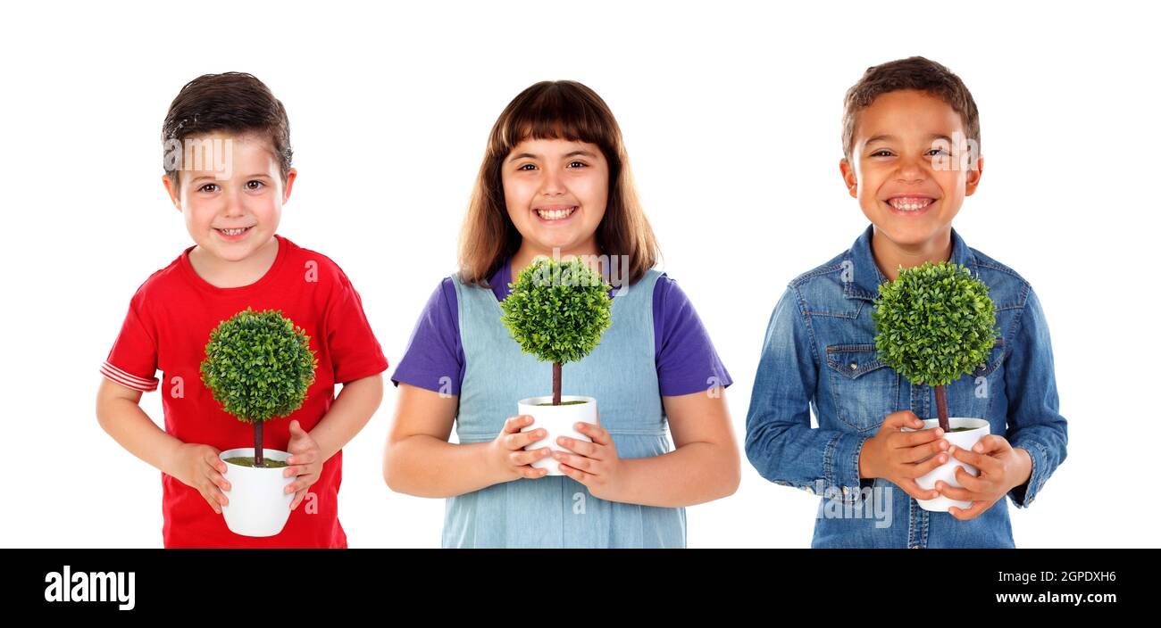 Children holding a small tree. Care the environment Stock Photo - Alamy