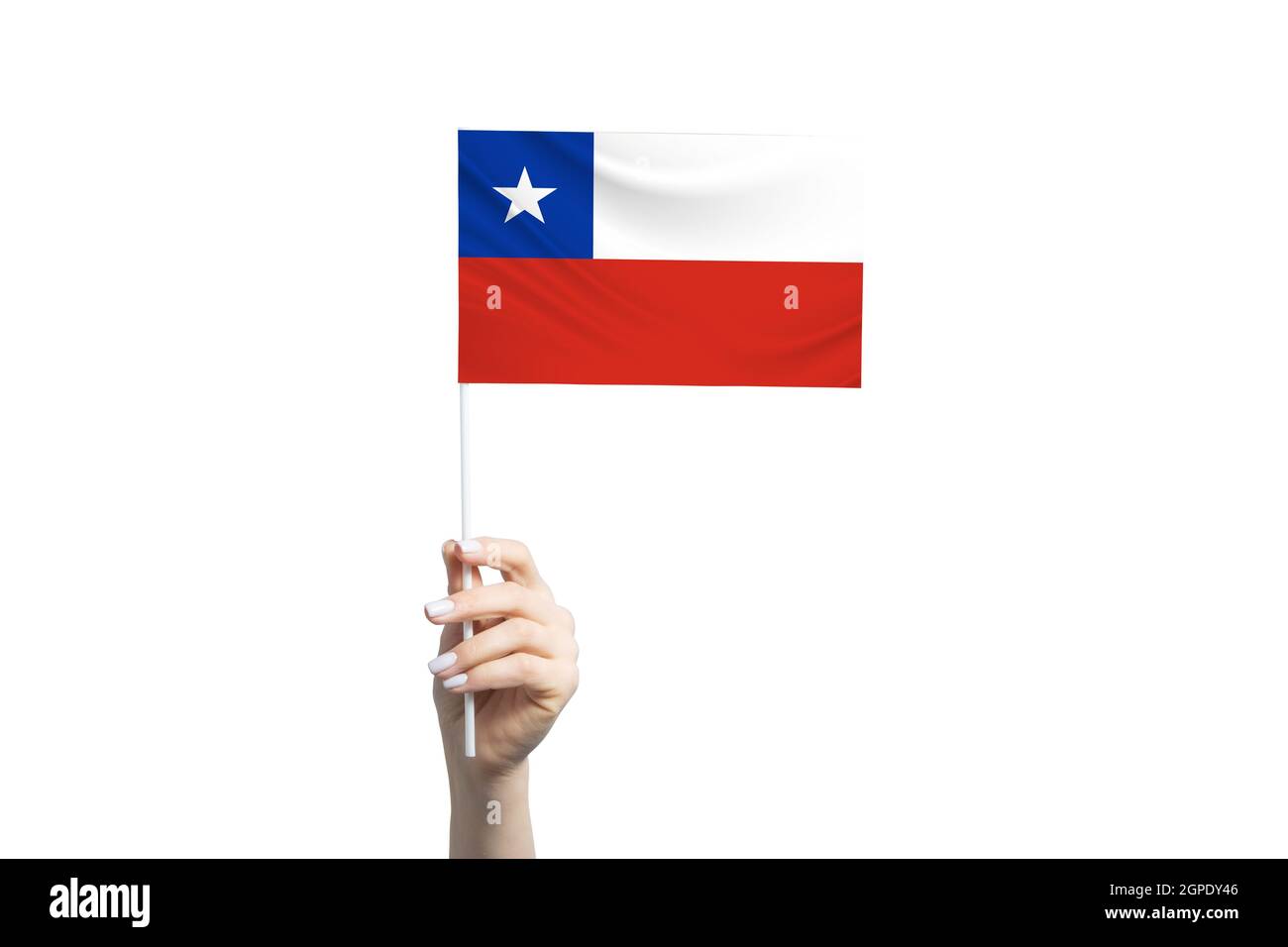 Beautiful female hand holding Chile flag, isolated on white background ...