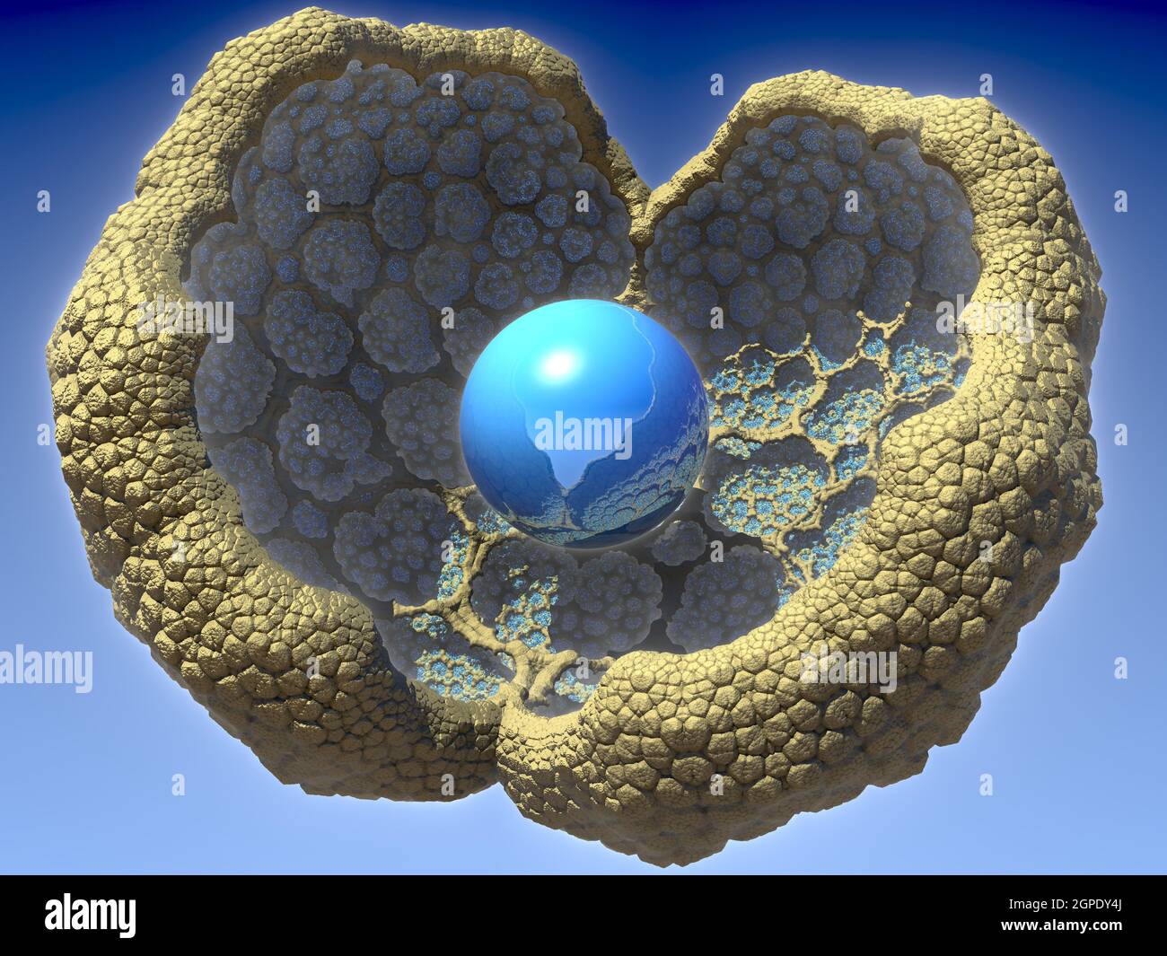 Picture of three-dimensional Pearl fractals in motion Stock Photo - Alamy