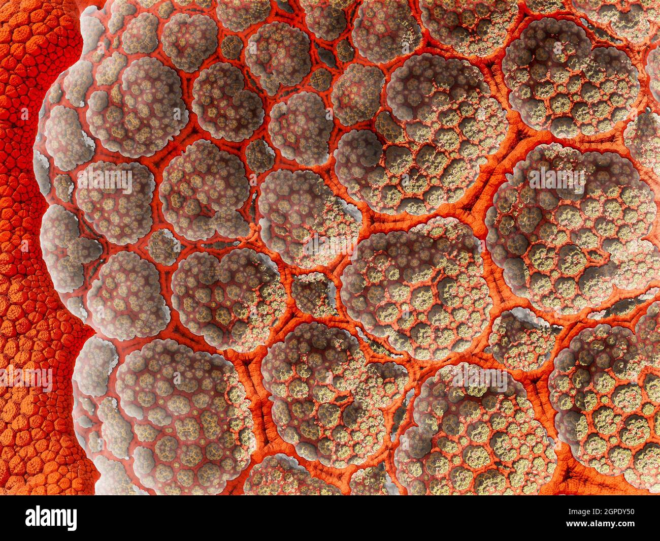 Picture of three-dimensional spaceship fractals in motion Stock Photo ...