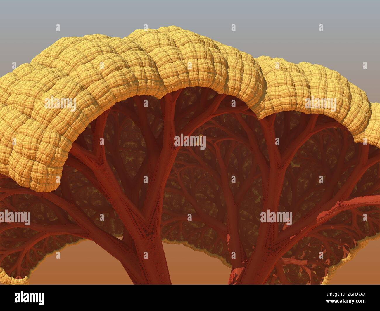 Picture of three-dimensional spaceship fractals in motion Stock Photo ...