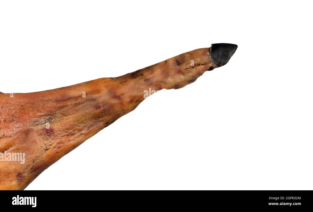 Iberian Ham Leg Isolated on a white background Stock Photo - Alamy