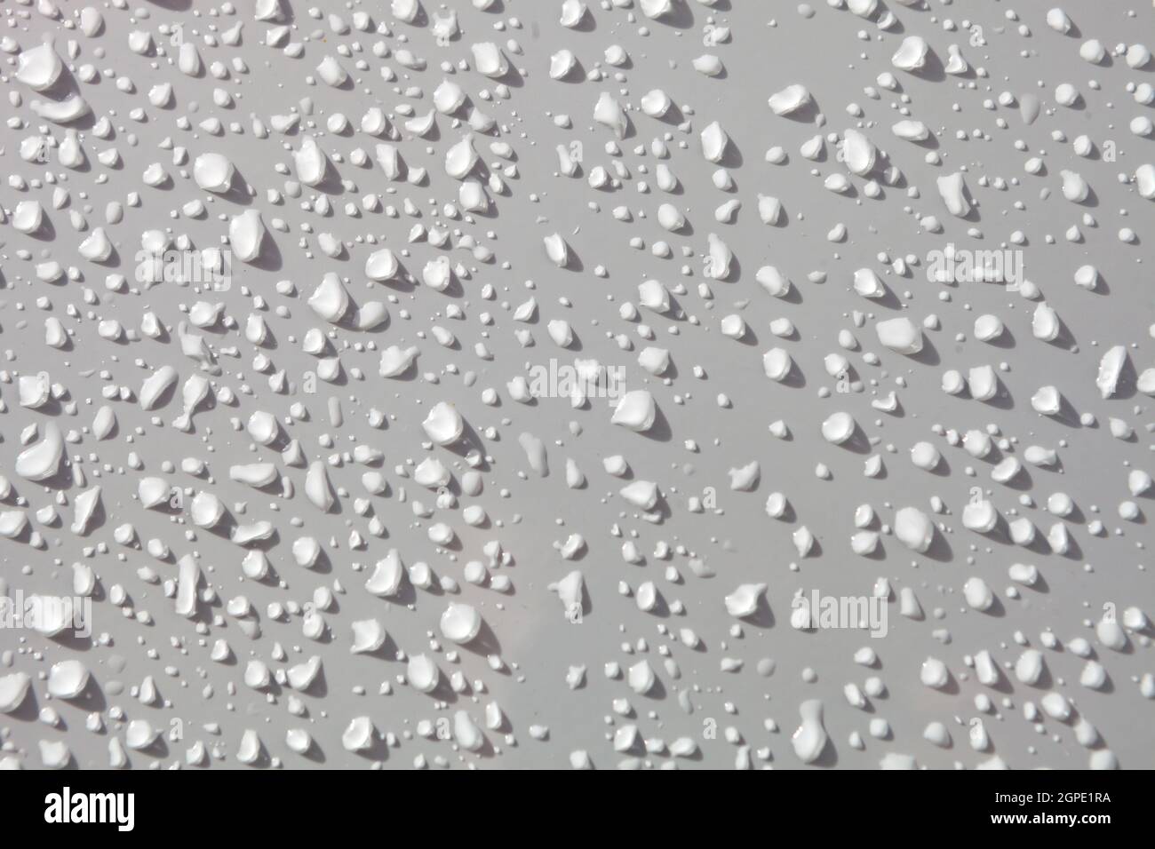 Water drops from rain over a white surface Stock Photo - Alamy