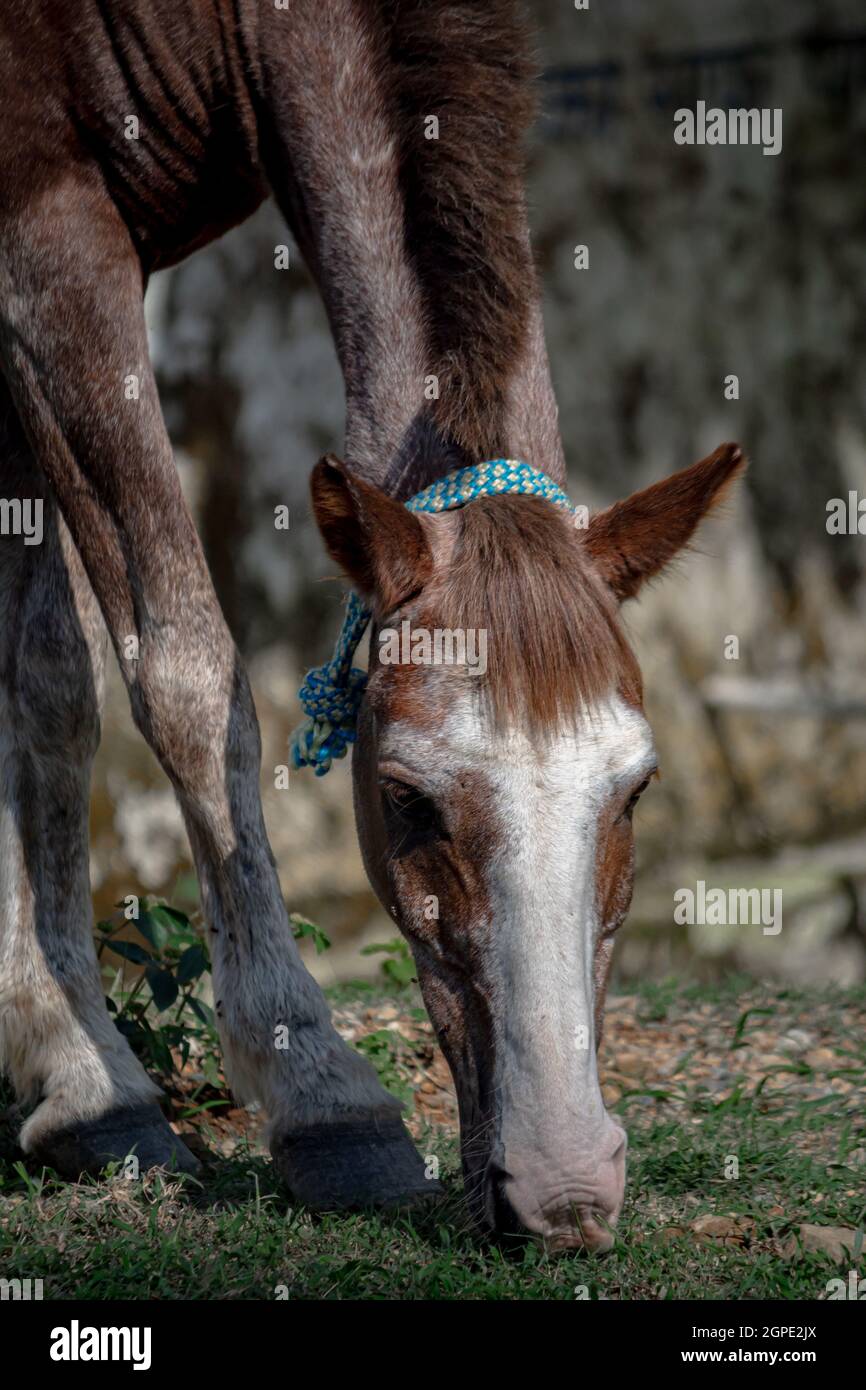 Farms background picture hi-res stock photography and images - Alamy