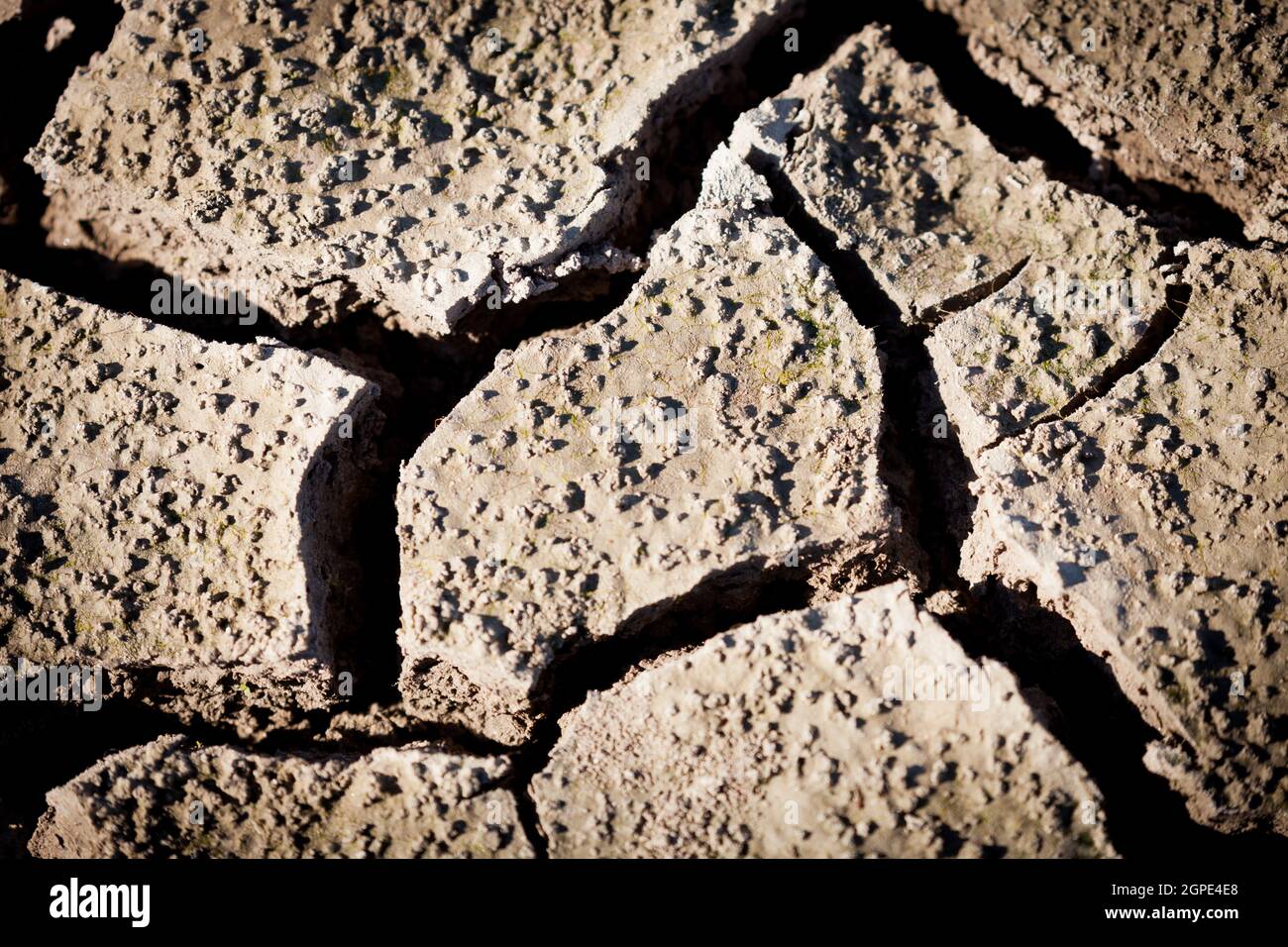 Earth cracked by drought. Symptoms of global warming Stock Photo - Alamy