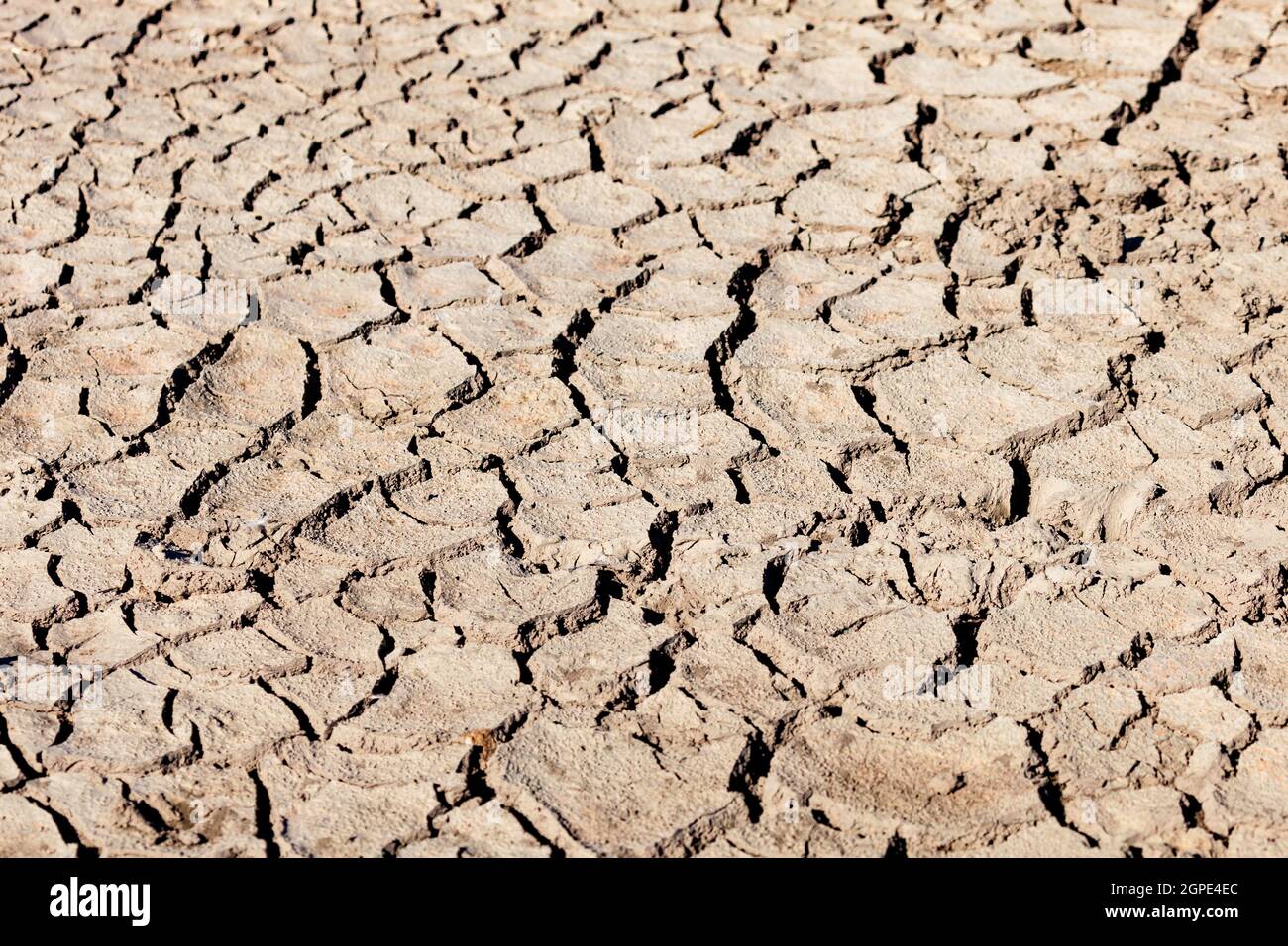Earth cracked by drought. Symptoms of global warming Stock Photo - Alamy